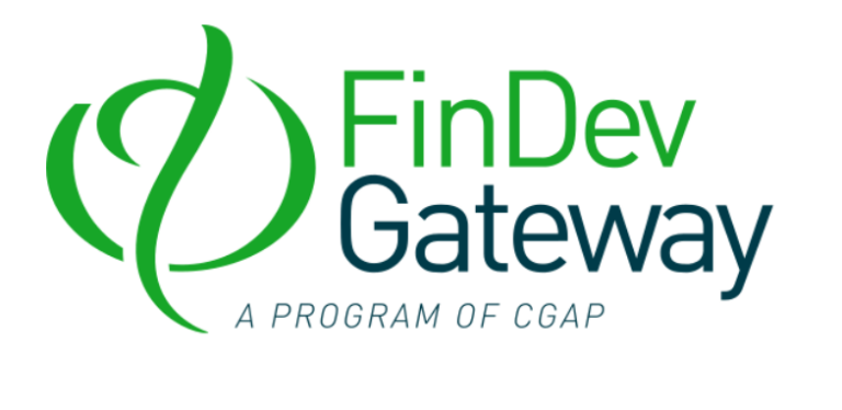 FinDev Guide to Women's Financial Inclusion | DSG Hub